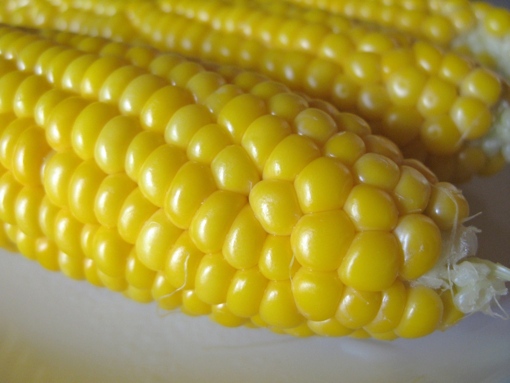 Through My Kitchen Window: Corn - Cooked or Killed?