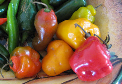 Flavors of the Sun: A Recipe using Chile Manzano