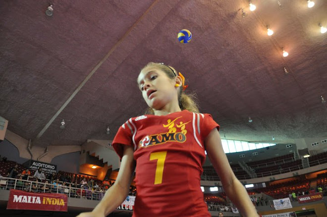 Ponce International Volleyball Fest: Luis Raul Ramos