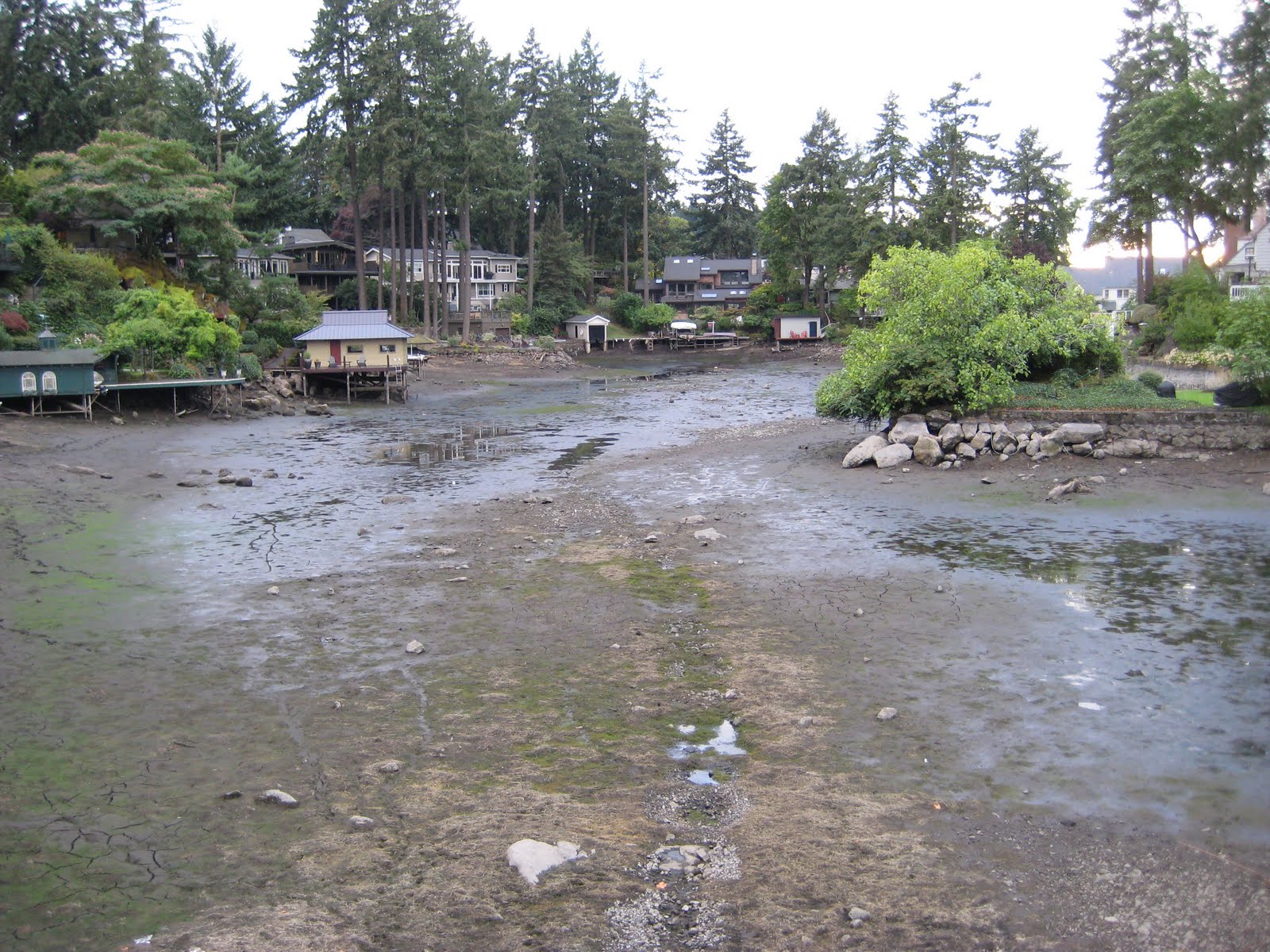 Lake Oswego Oregon "Lake Blog": Lake Oswego Oregon, Day 11 of Lake Draw ...