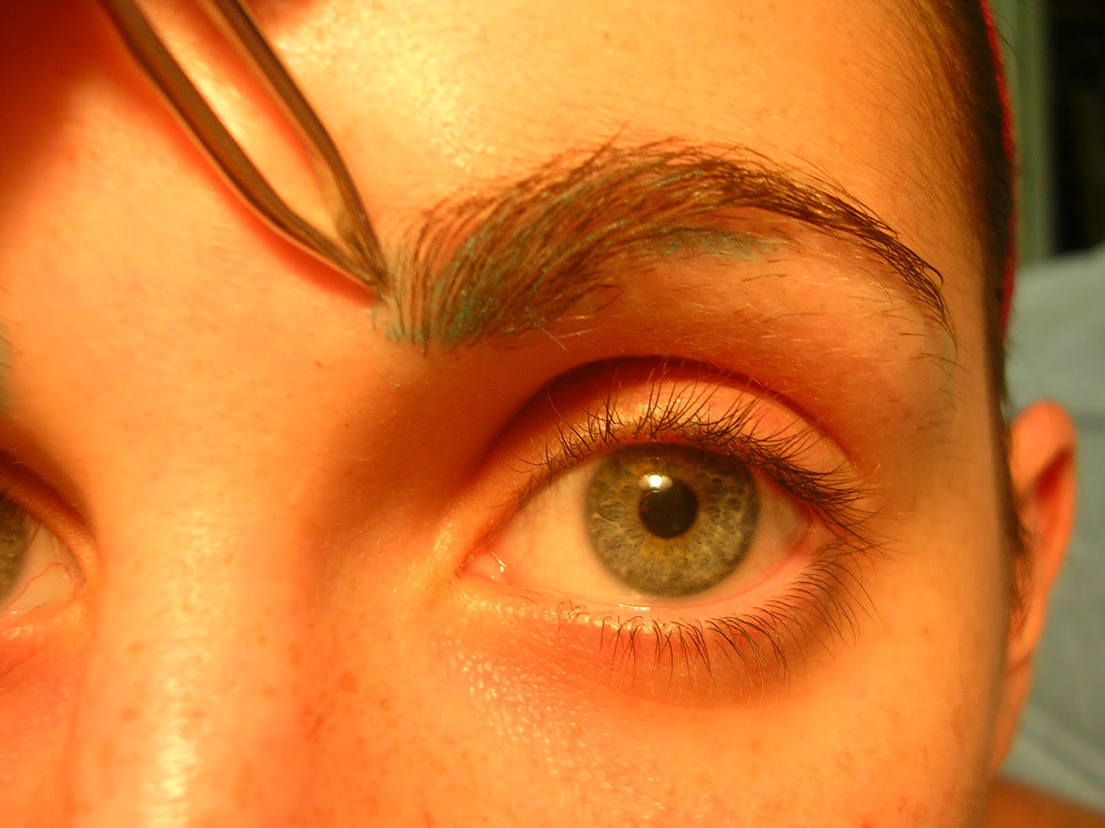 ~Scraps and Scribbles~: Tipping Thursday (a day late): Shaping Your ...