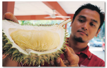 Pokok Durian: Durian