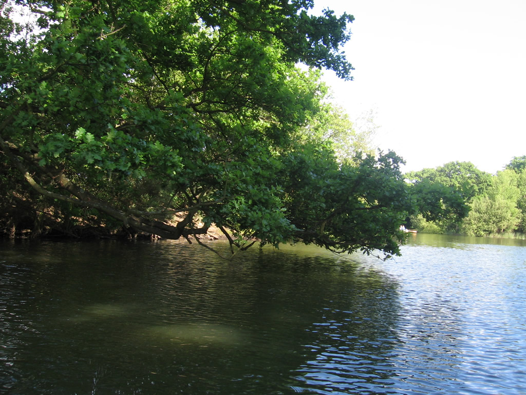 Boating at Hollow Pond in Snaresbrook (Leytonstone) - The Globe Trotter