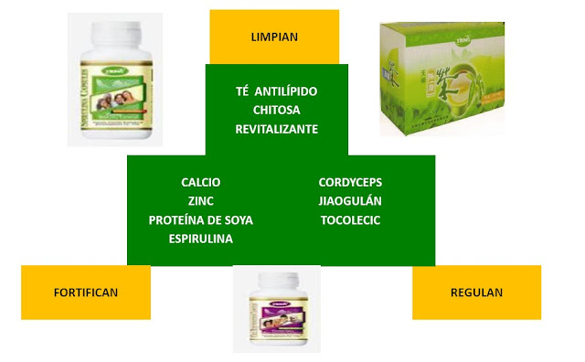 TIENS PRODUCTOS NATURALES PARA LA SALUD-(57)3208827011: CLASIFICACION ...