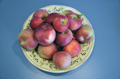 Bygone Food and Recipes: Apple Knobby Cake