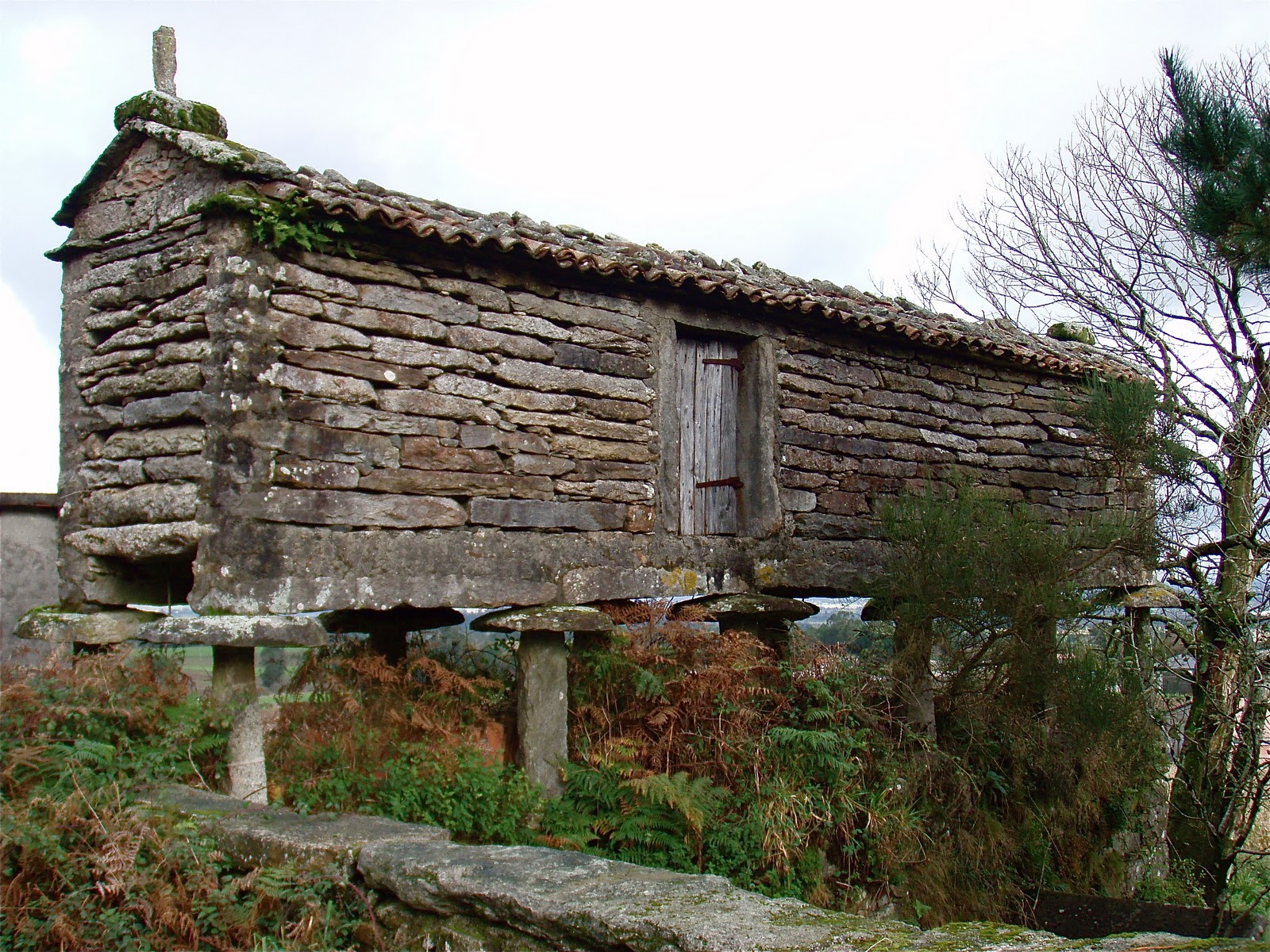 El Camino de Santiago desde Asturias: Hórreo gallego