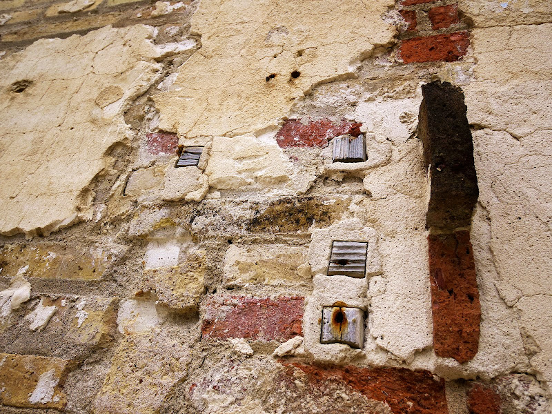 Nitideces de Miguel: Ruinosa pared