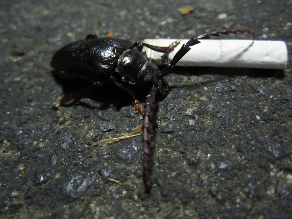 Kuato Lives: August 2010