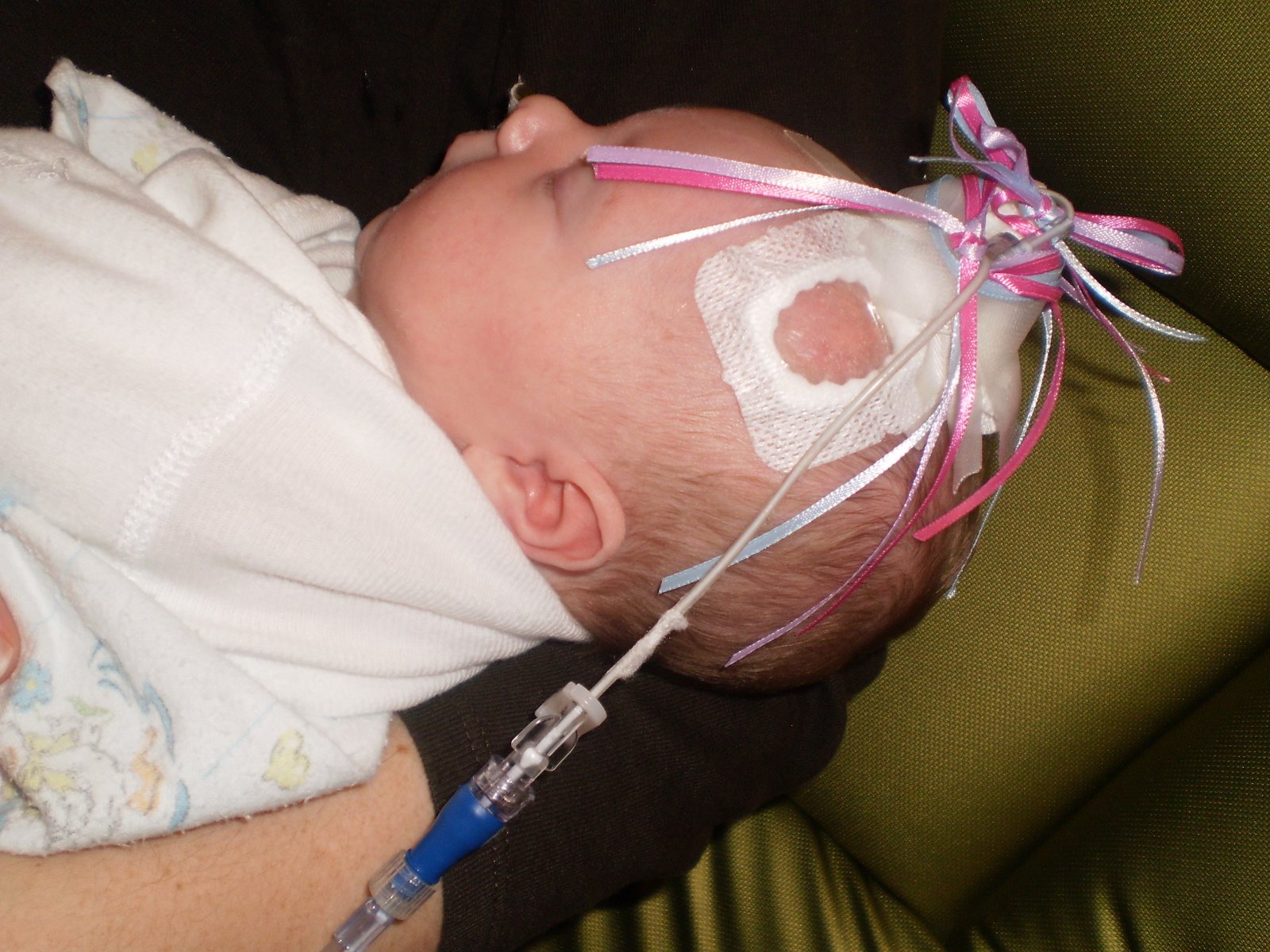Abigail's Alcove: NICU Love Part 2