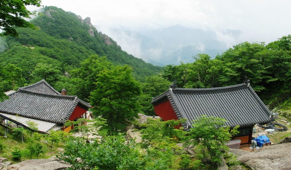 Nature and Politics: Buddhist Temples are Great for Birdwatching
