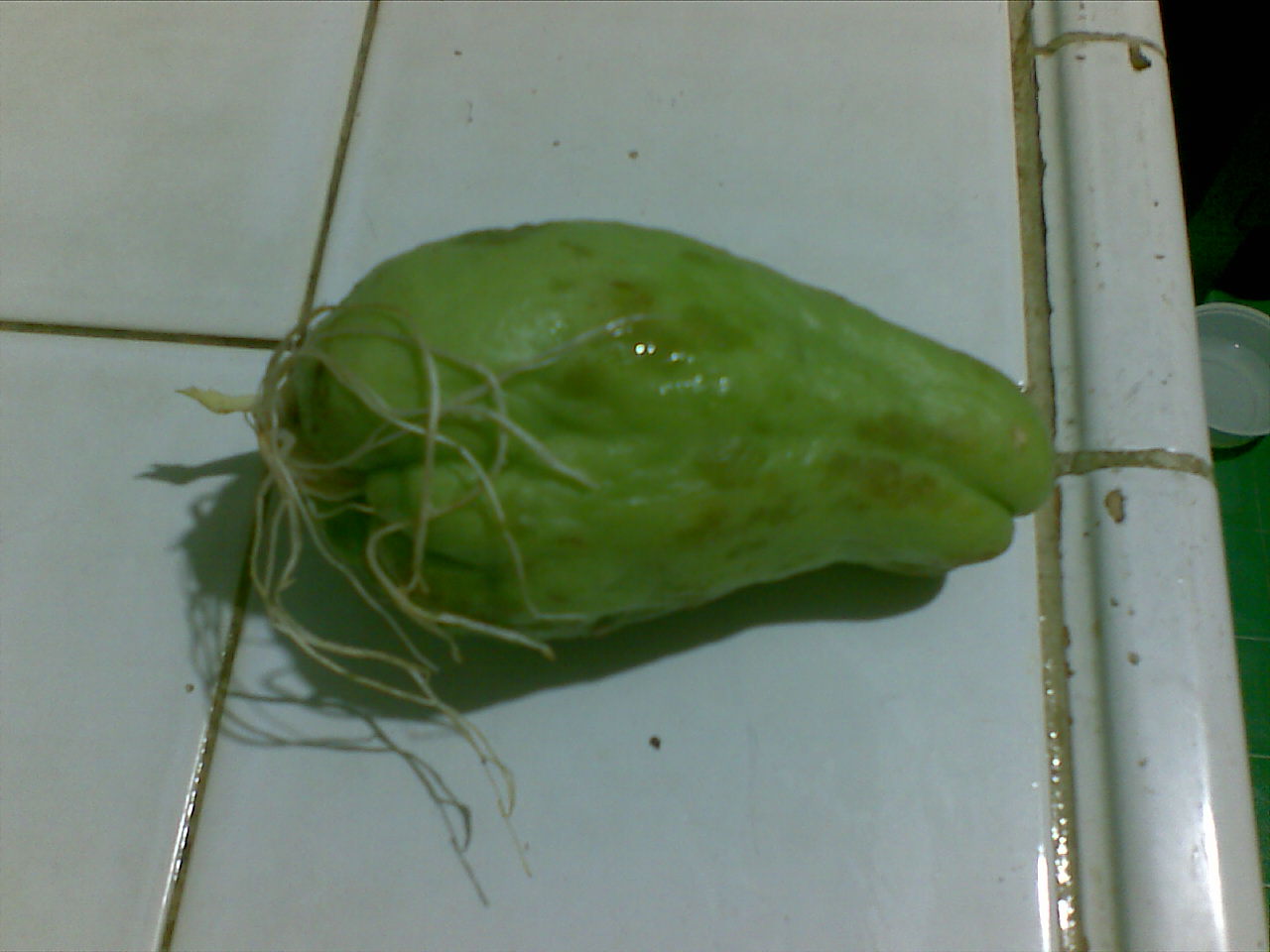 aileen curay: sayote