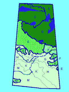 The Natural Vegetation Zone