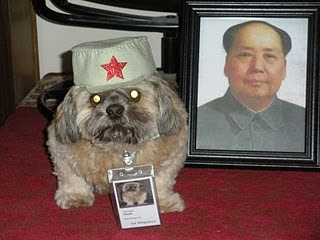 Comrade Cocoa, a Go, Go!