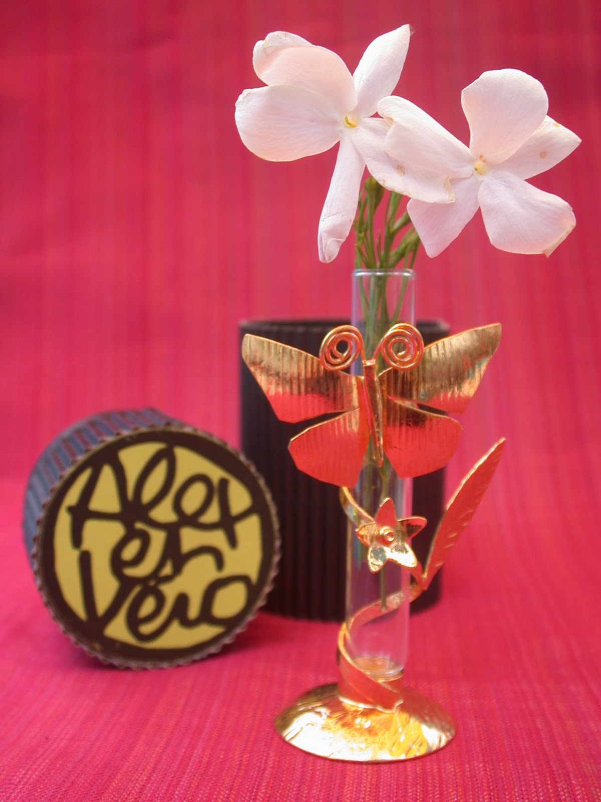 alex et véro: Alex et Véro, c'est pas que des bijoux