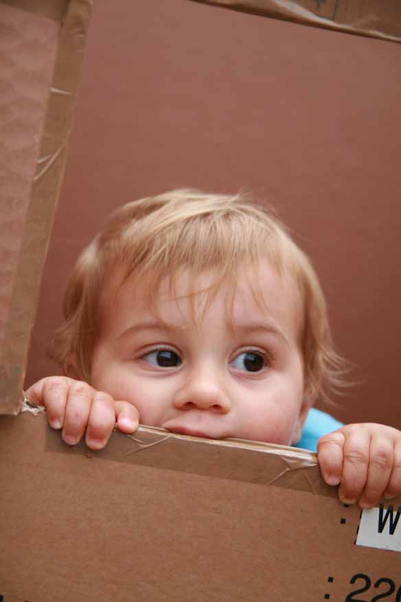 Finlay Geoffrey McCall