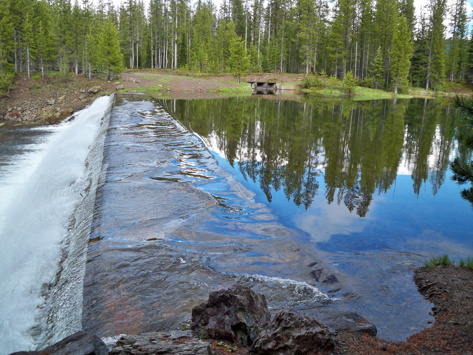 Agora: Random Shots #1, 2010