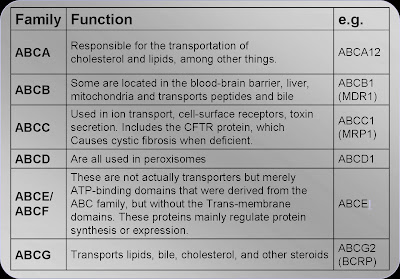 Pharmacogenetics and Variability in Drug Response: The ABC Transporters