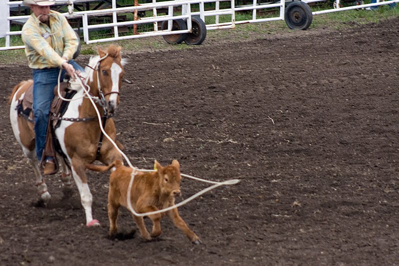 Photography of Ralph Fuchs of St. Albert, Alberta: St. Albert Rodeo