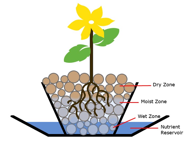 Hydroculture Info: Hydroculture Basics & The Importance Of A Water ...