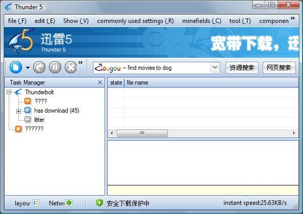 Xunlei thunder downloader - kasapcompanion