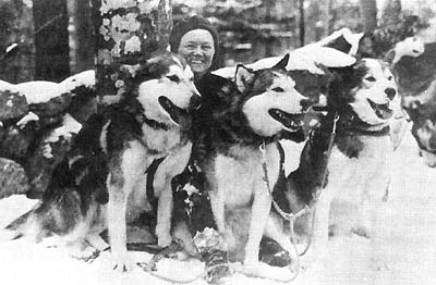 Malamute do Alaska: Eva Seeley - Kotzebue