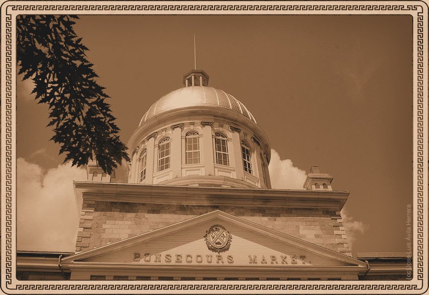 Banco de Imágenes Gratis: Increíble colección de fotografías en color sépia