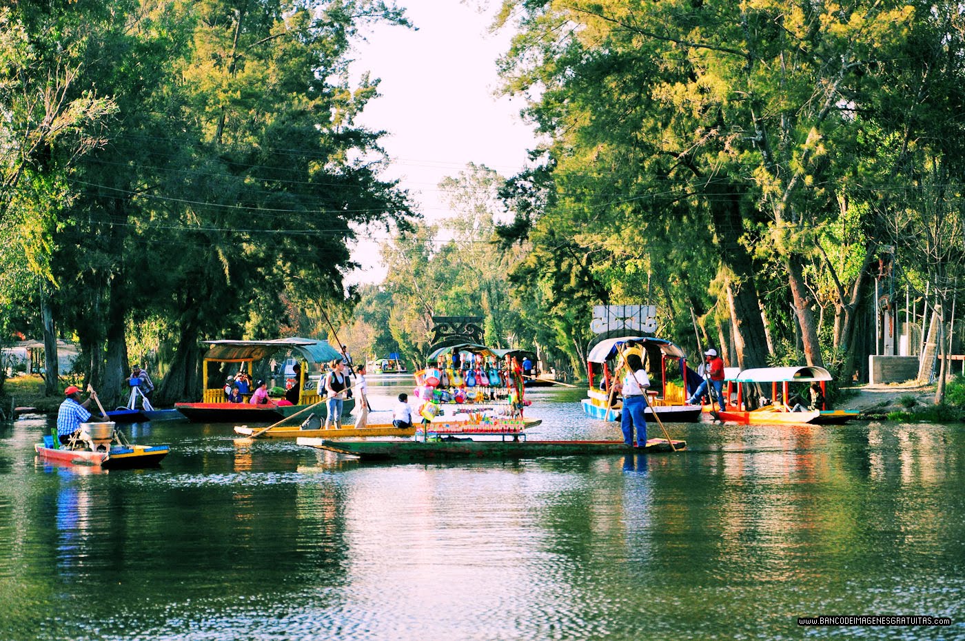 BANCO DE IMÁGENES GRATIS: Imágenes y fotografías de Xochimilco, México D.F.