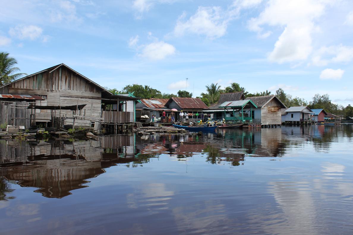 Travel Adventures in Indonesia: Jungle River Cruise In Central Kalimantan