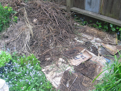 BB's Bountiful Backyard: Weeds Gone Wild