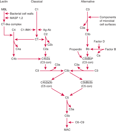 The Online Transplant Center: Post transplant TMA, revisiting Atypical HUS