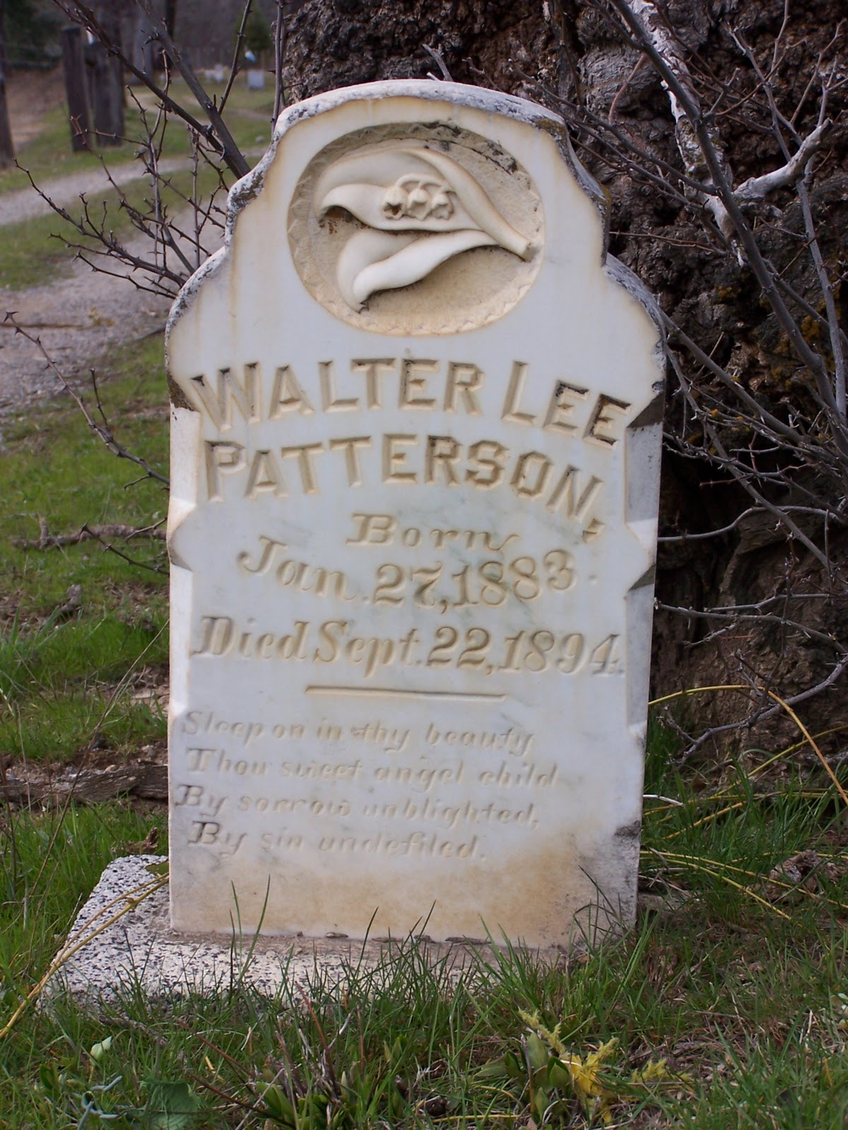 Confessions of a Taphophiliac: Walter Lee Patterson 1883-1894