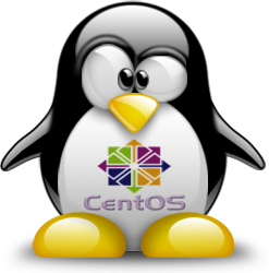 fraterneo GNU/Linux: Servicios en CentOS 5.3