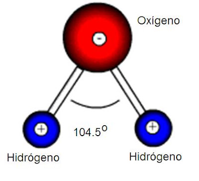 Bios: EL AGUA, UN COMPUESTO INORGÁNICO