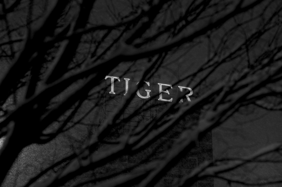 Night View Columbia: Tiger neon in the snow