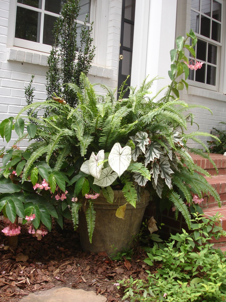 Container Gardening: A Love for Container Gardening