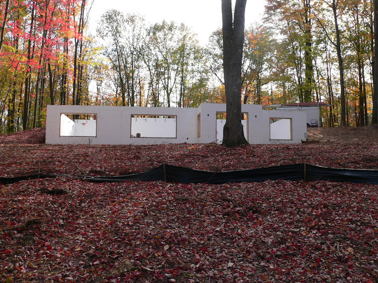 Turtle Lake Cottage - Building Our LEED/Green Home: 2011-01-02