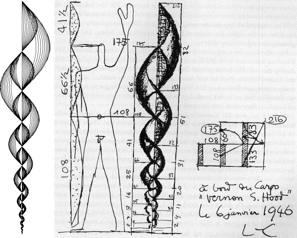 Modulor Nombre D'or - JungleKey.fr Image