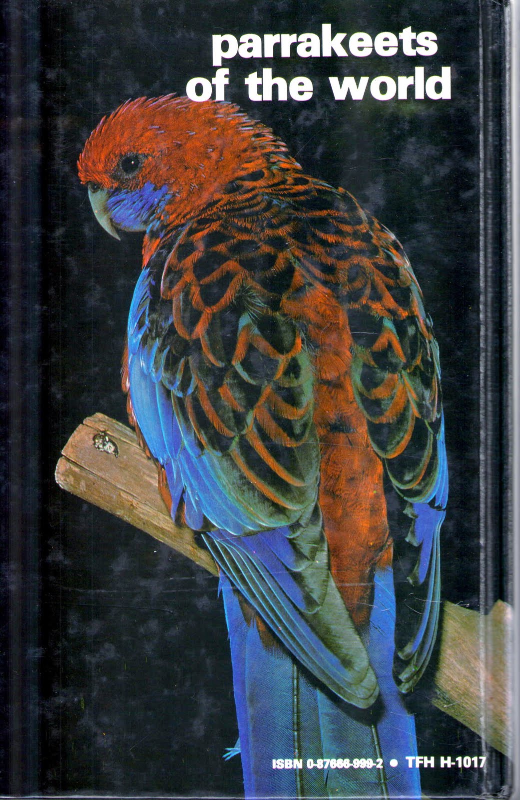 The Splendid Bourke Bird Blog: Bourke Parakeets or Parrots? Neophema or ...