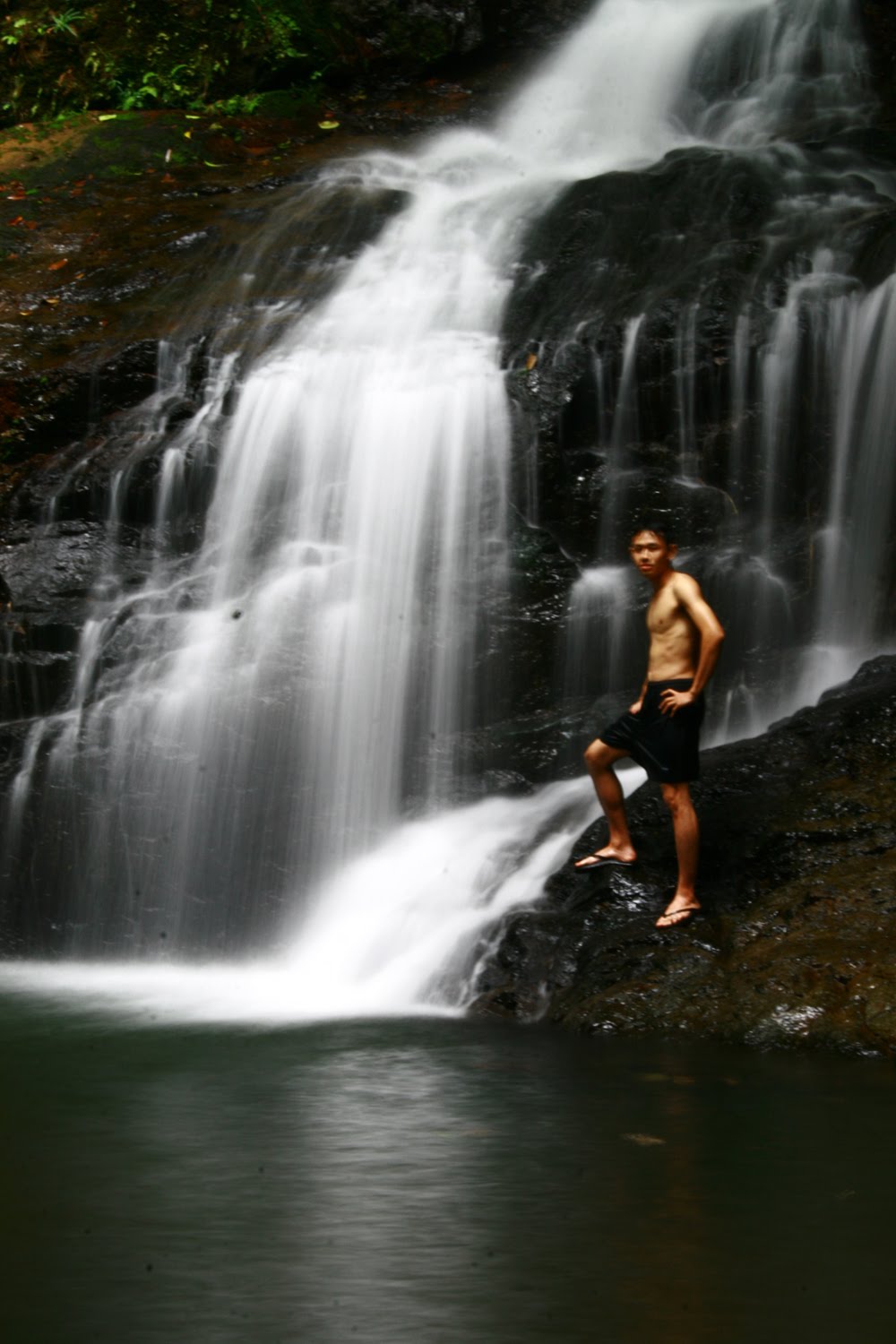 The View of Mechanicals Eye