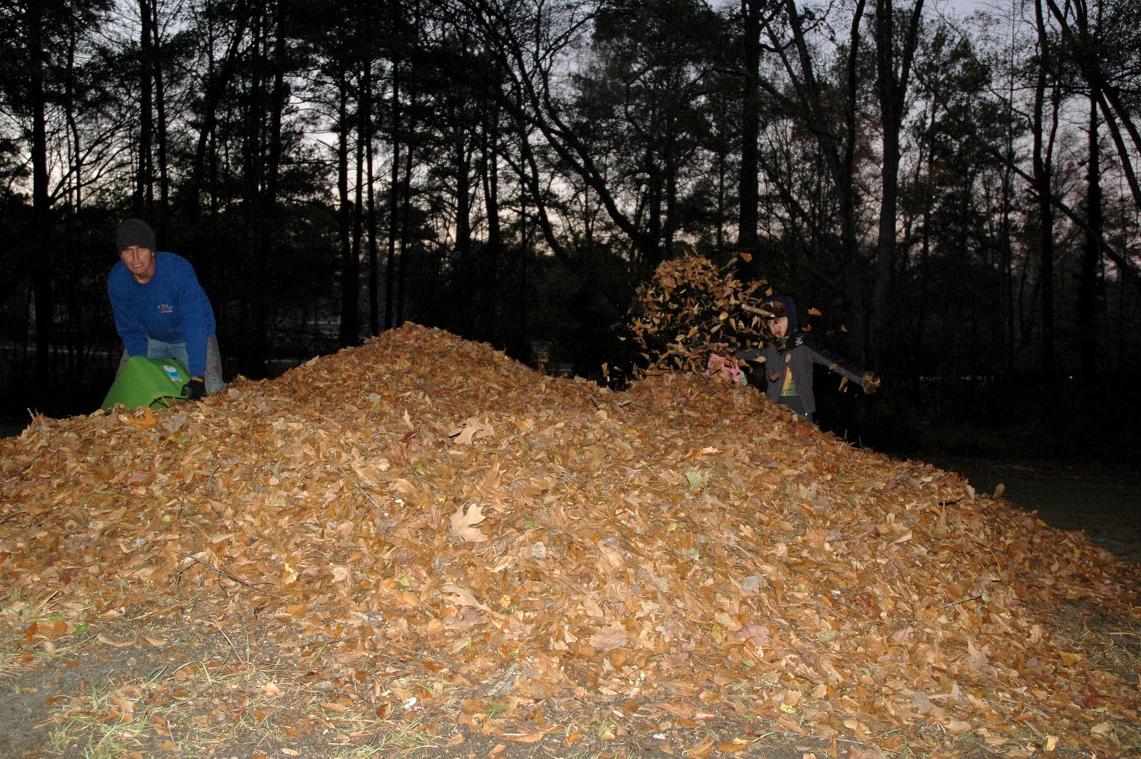 The Clarke Family: BIGGEST LEAF PILE!