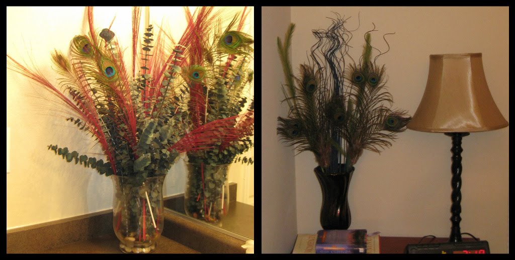 Thoughts from Sarah with an H: Pretty Pretty Peacocks