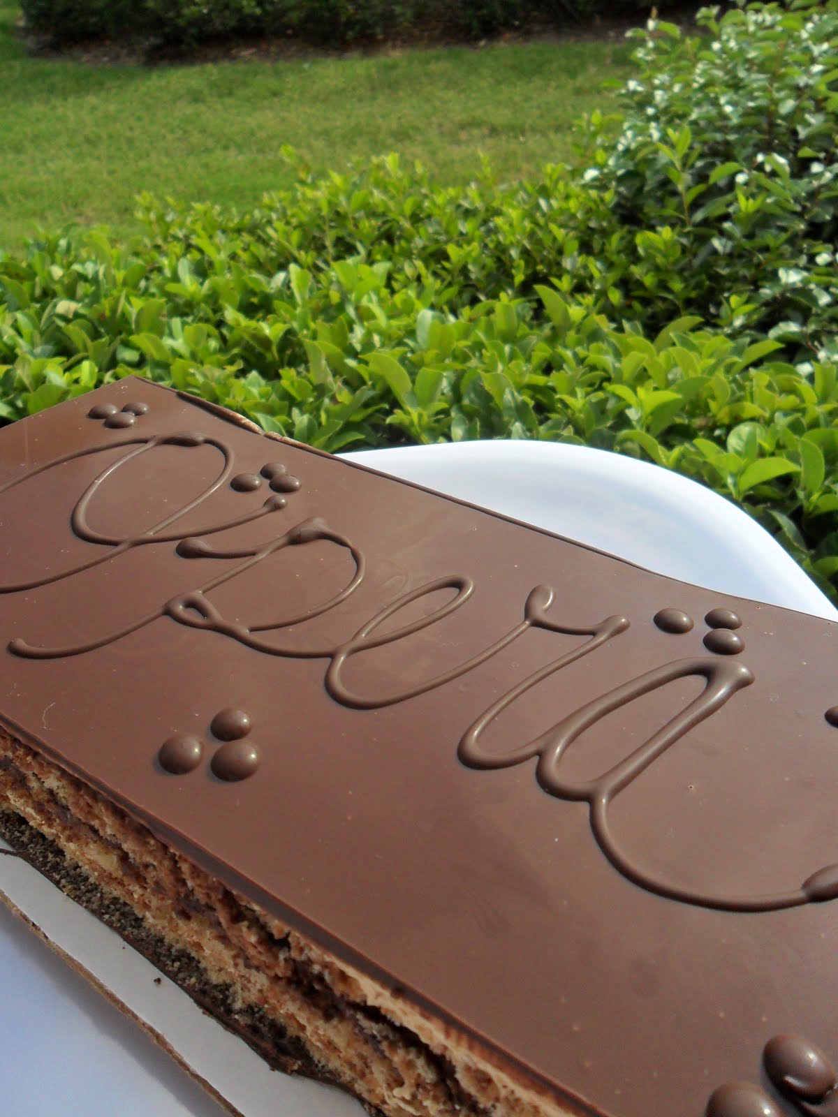 Bake.Pray.Love.: Opera Torte