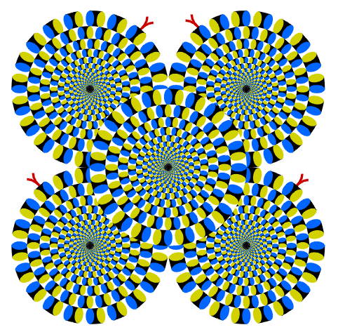 Living and Learning: Optical Illusions (science / brain and senses)