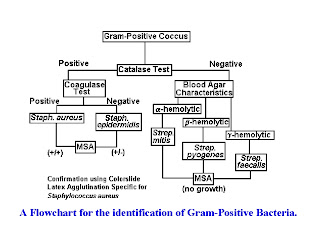 People with tiny feet