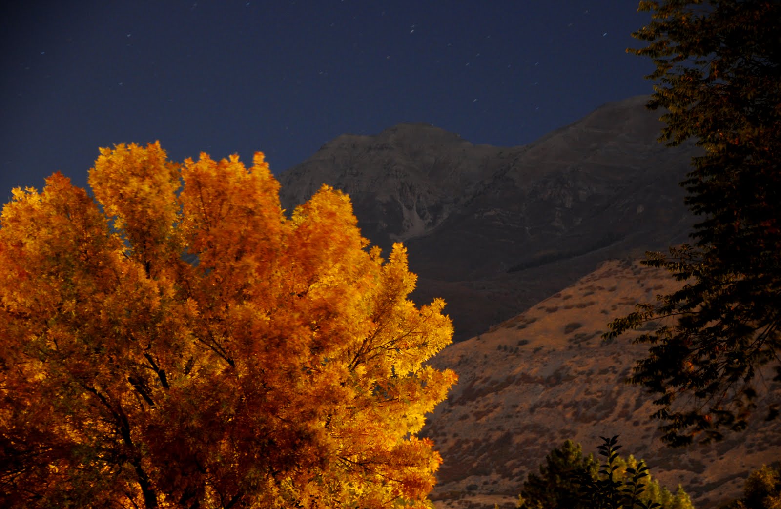 Russ' Photo Journal: Autumn Night