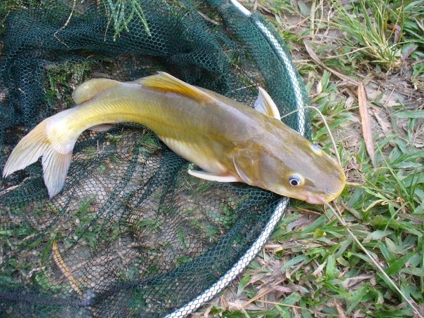 live life fun like moi!: Fishing Trips Compilation