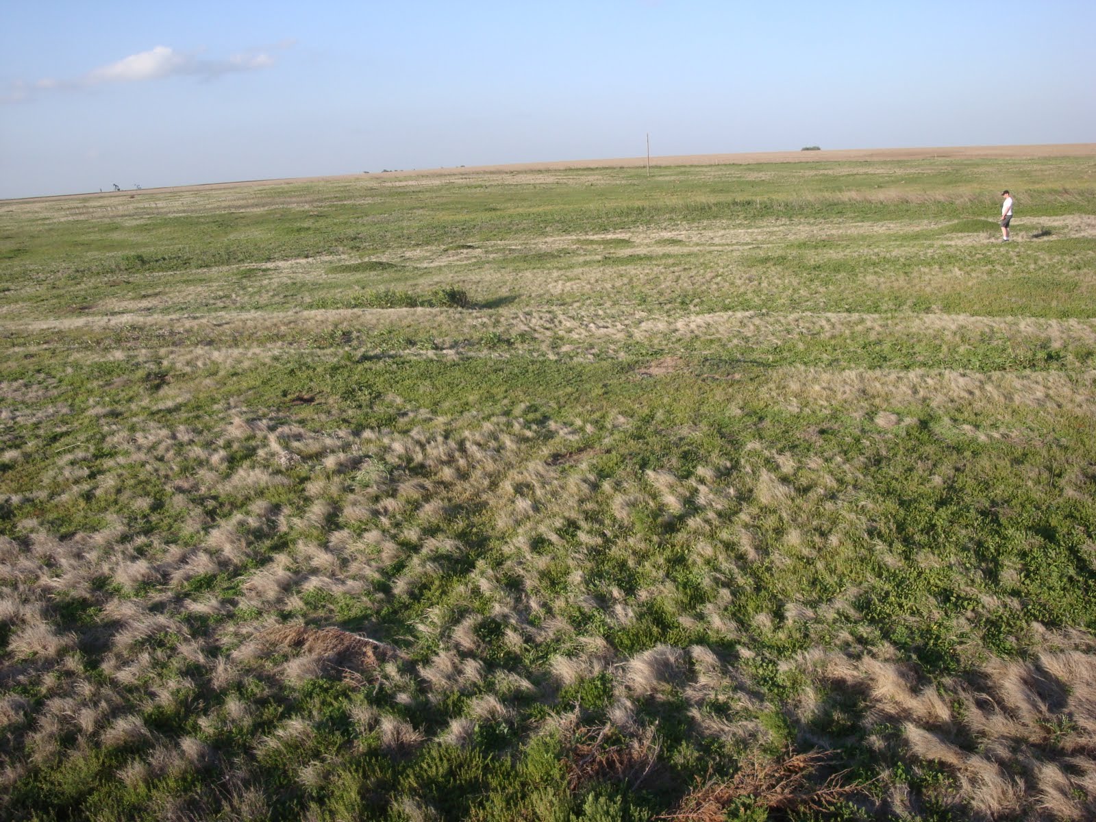 Amber's Waves: Santa Fe Trail Ruts