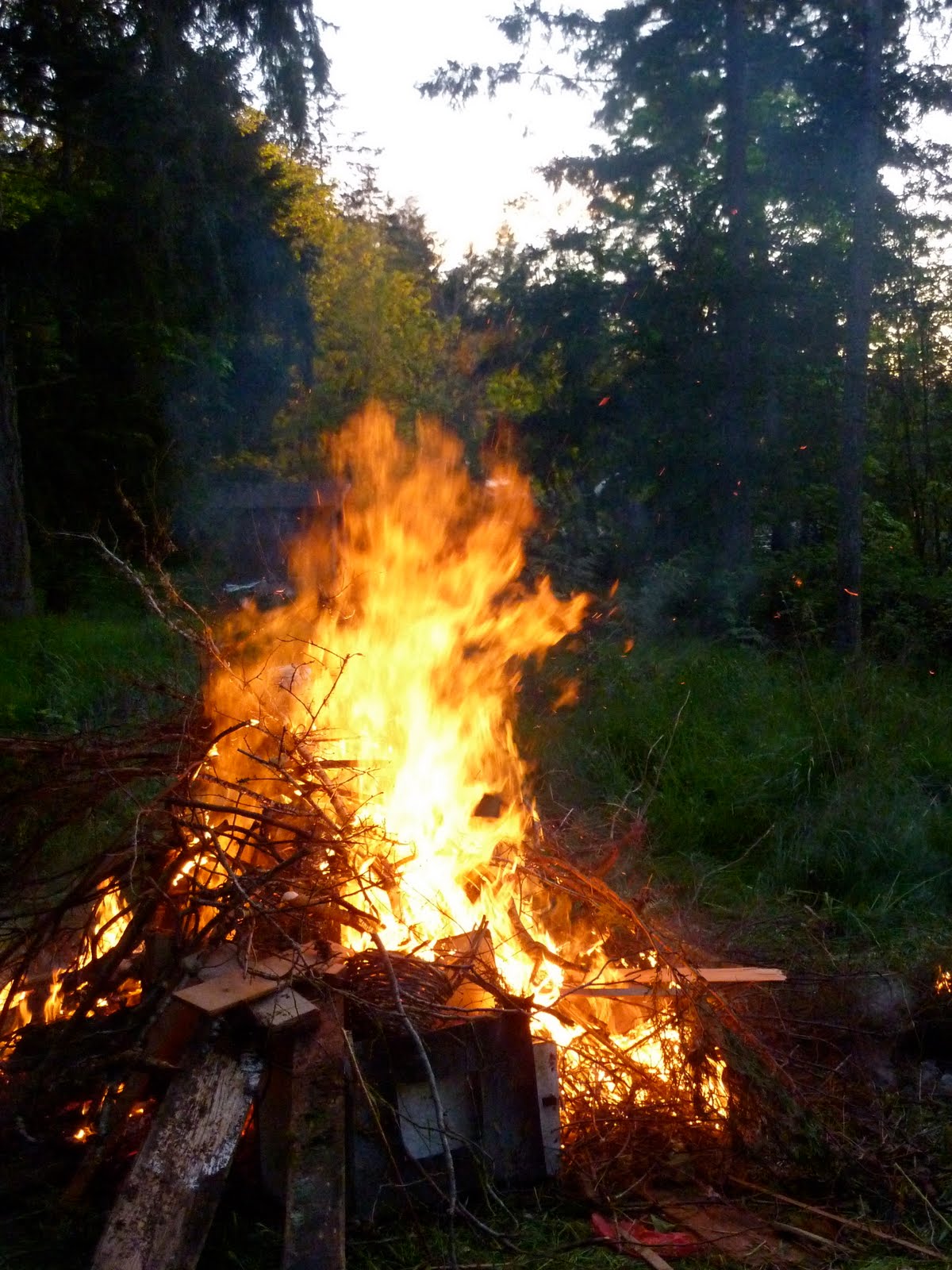 Up on Haliburton Hill: Bonfire party