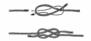 vapoare: Poze noduri marinăreşti