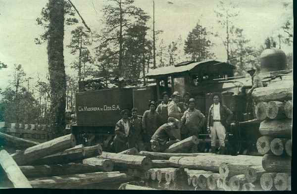 El Salto Durango: EL SALTO HACE AÑOS